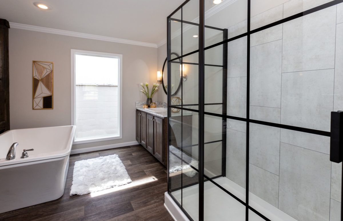 » About the Freedom Series